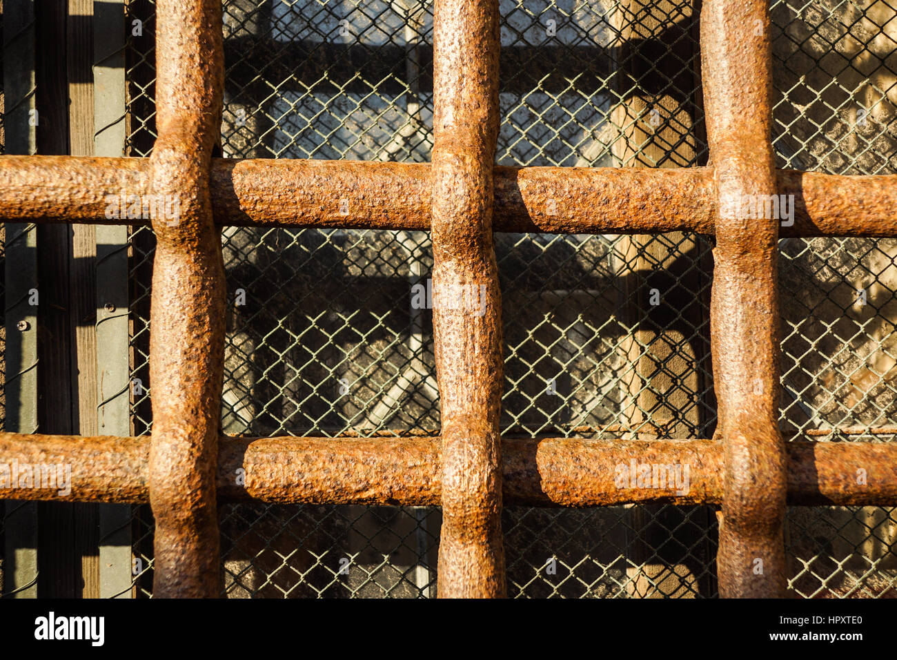 Close up iron bars or metal grating on window or prison cell Stock ...
