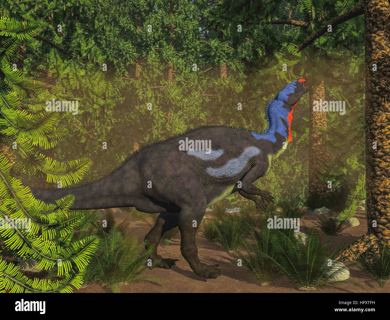Camptosaurus dinosaur eating in wollemia pine forest - 3D render Stock ...