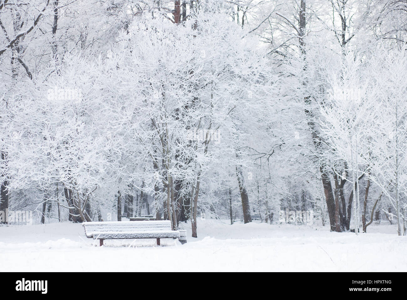 Landscape covered ground frost hi-res stock photography and images - Alamy