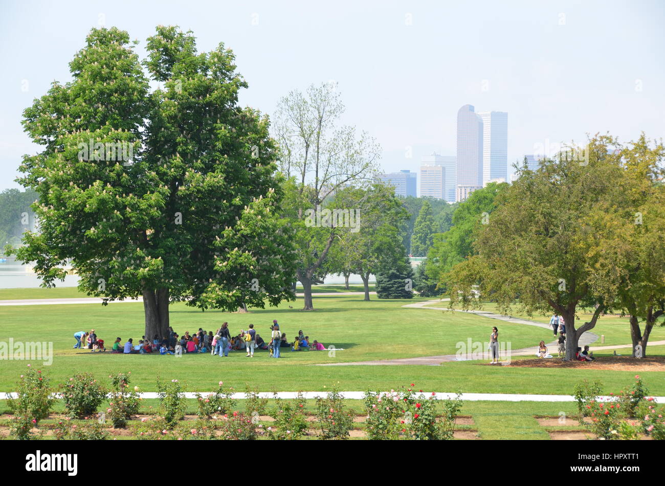 School under a tree hi-res stock photography and images - Alamy