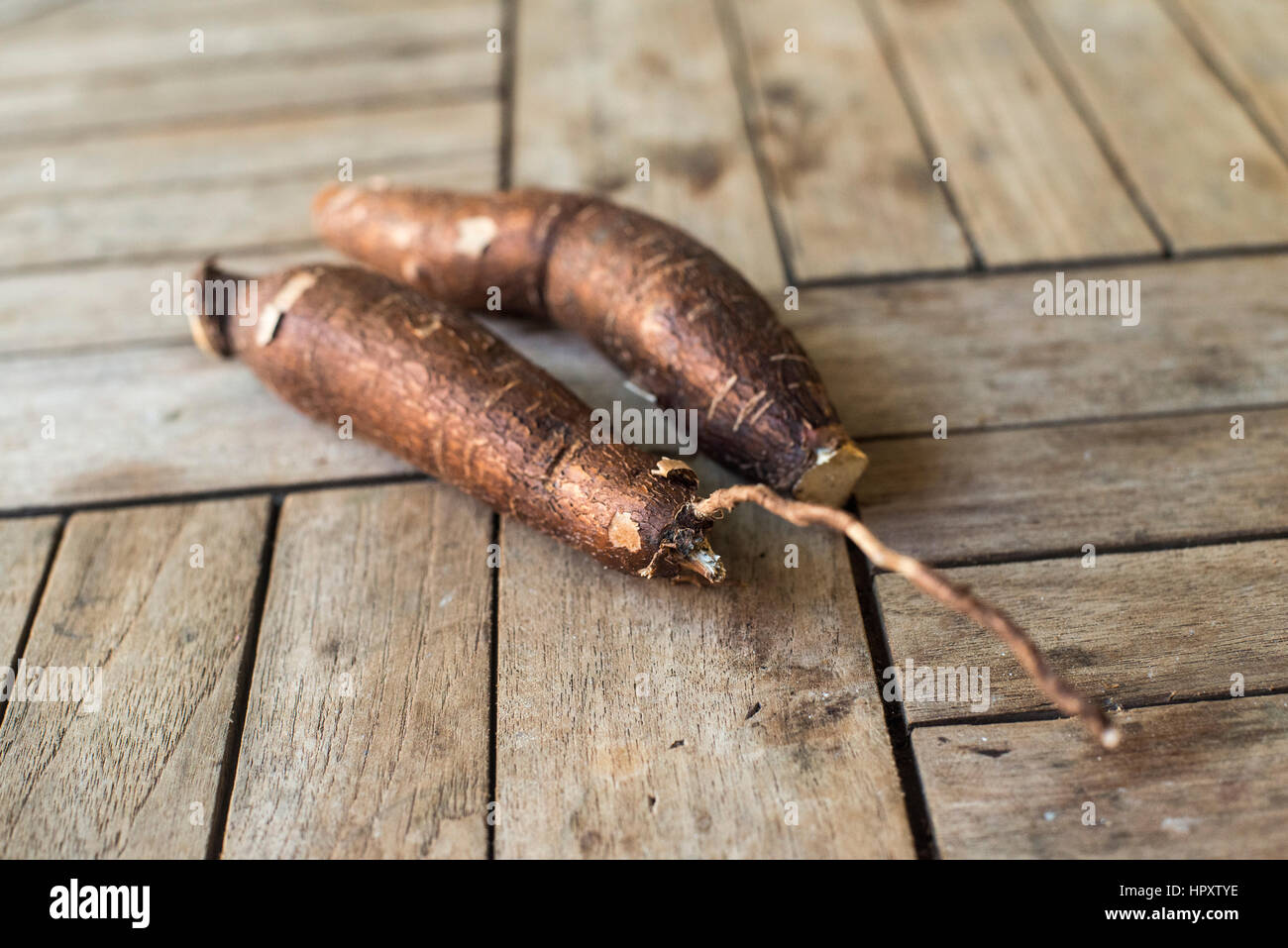 Manioc hi-res stock photography and images - Alamy