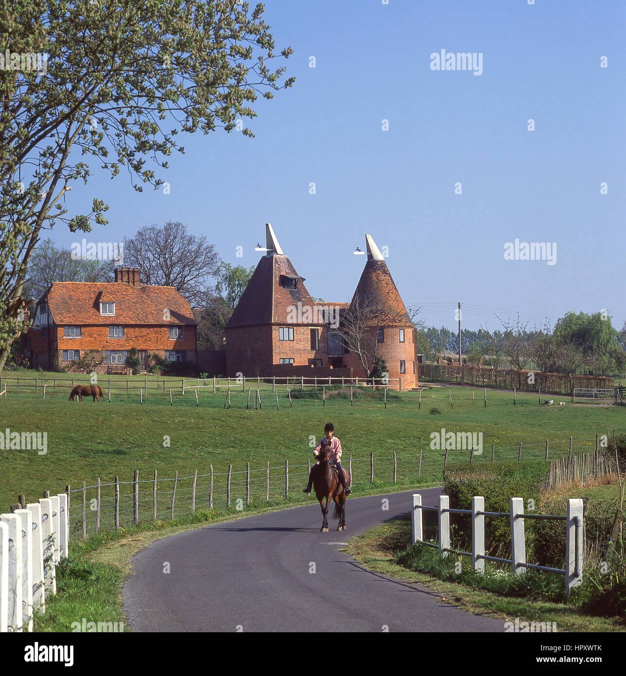 Farm with traditional oast house near Canterbury, Kent, England, United ...