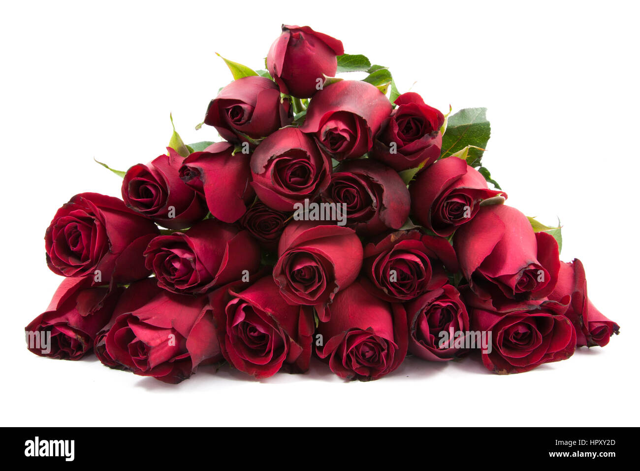 red rose isolated on white background Stock Photo - Alamy