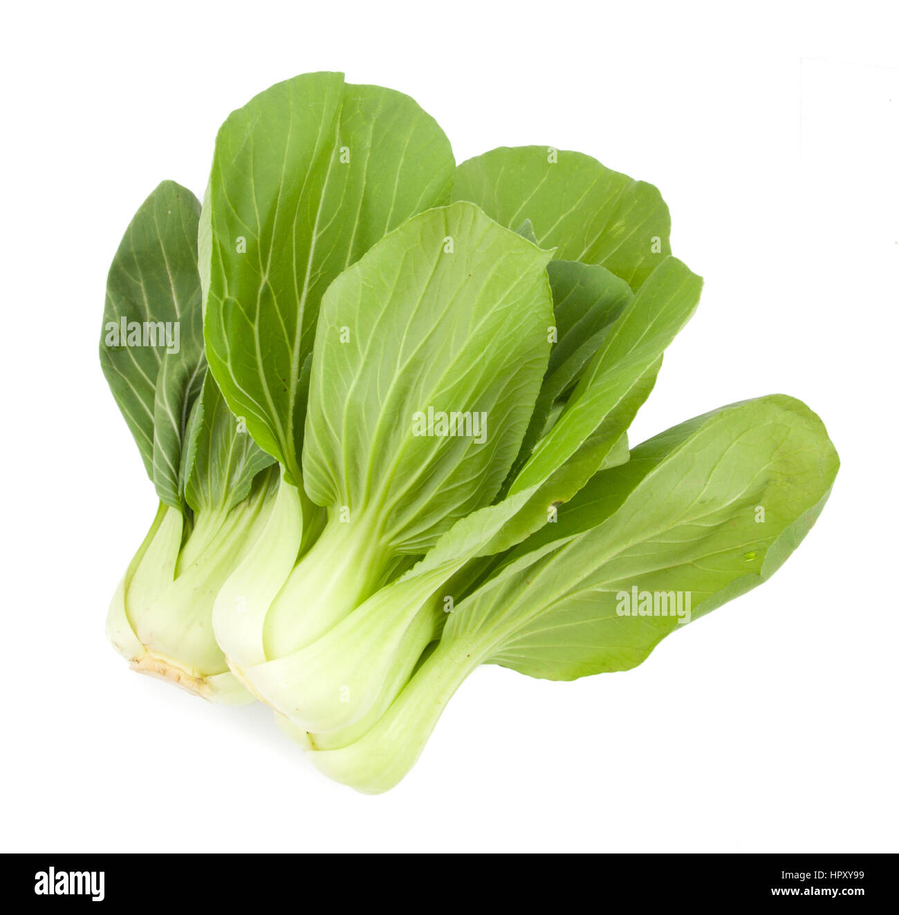 Baby Pak Choy (Chinese Cabbage) on white Stock Photo - Alamy