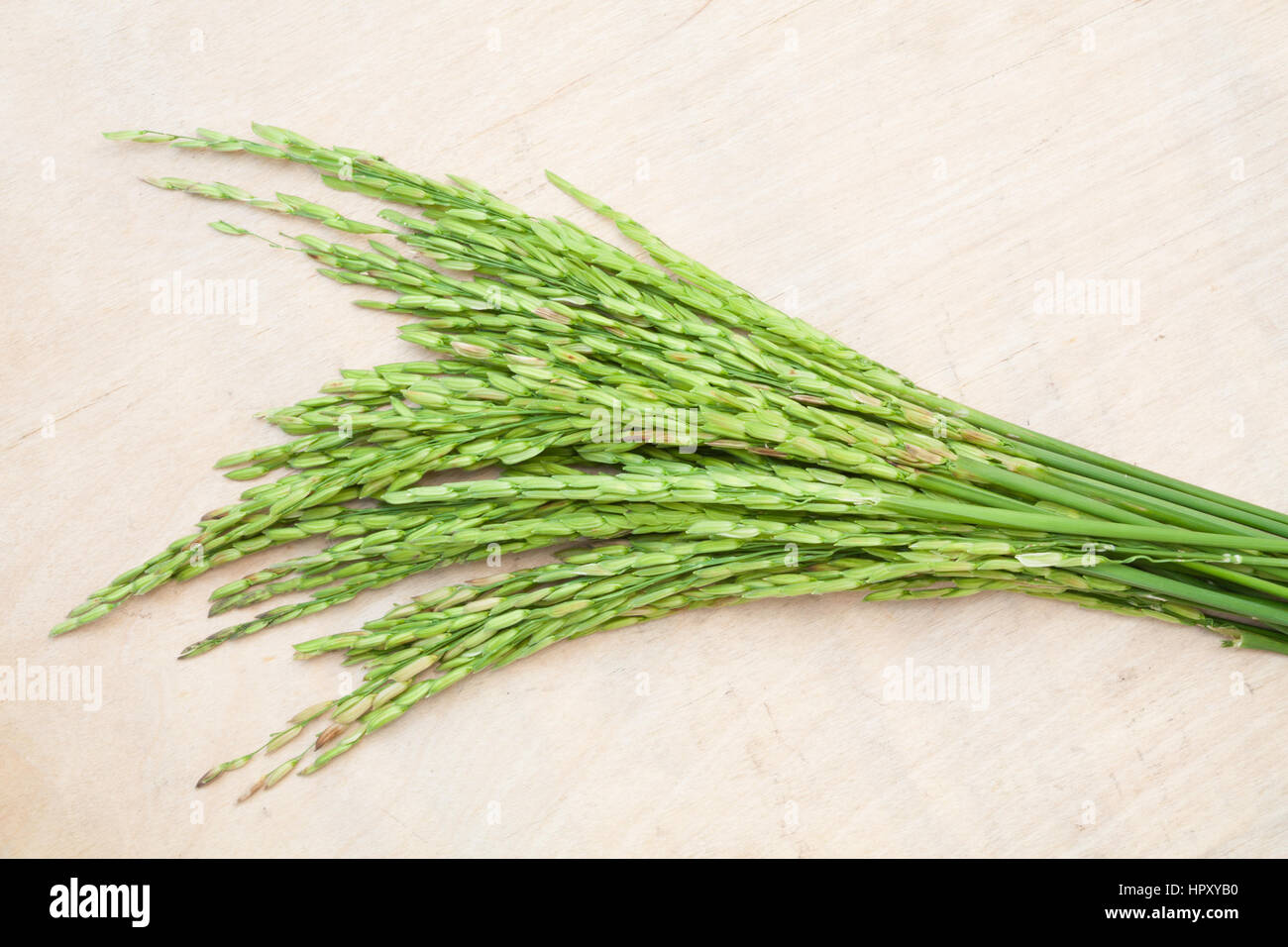green spike on wood background Stock Photo - Alamy