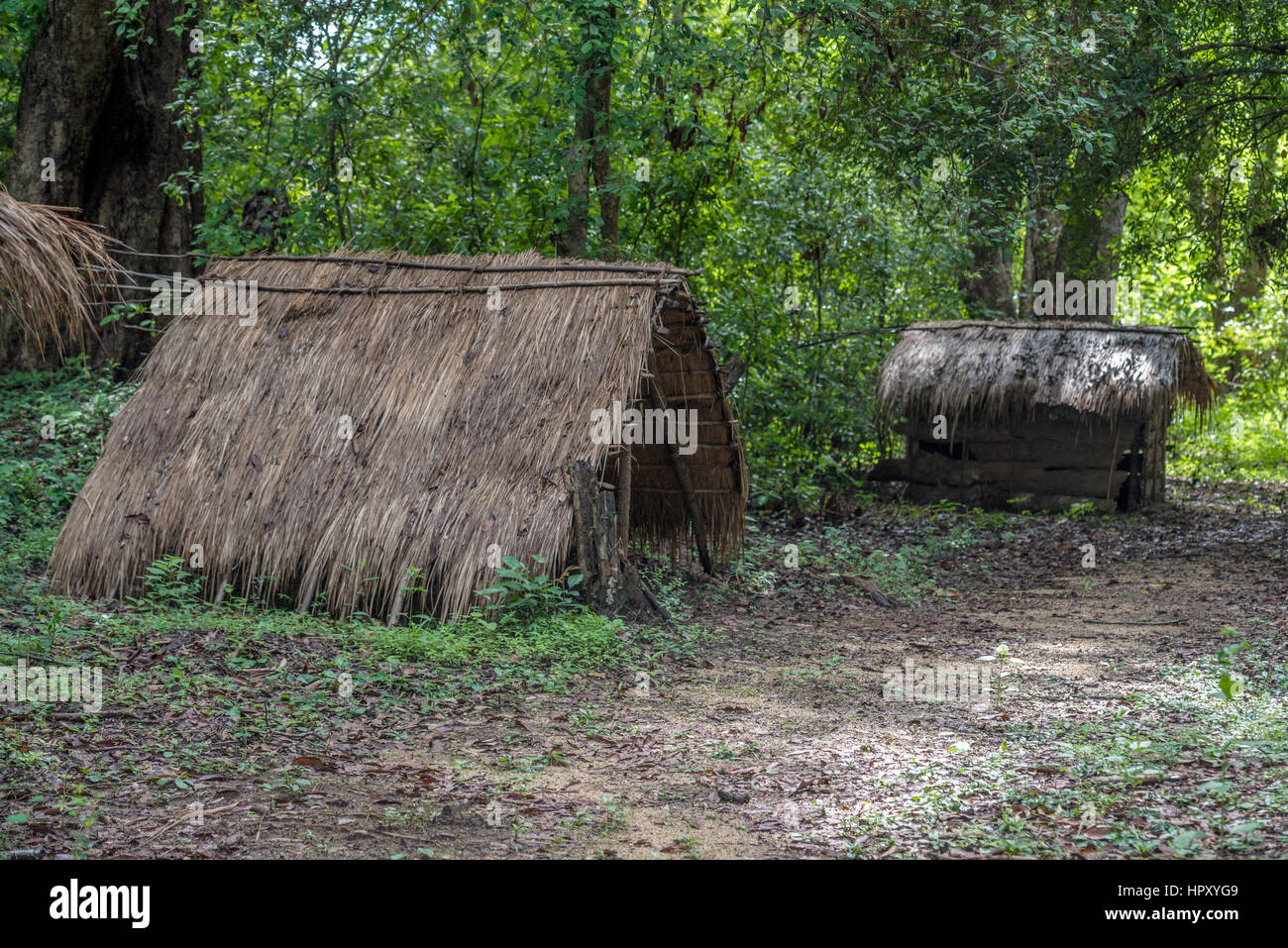 Typical house of vedda people living in Sri Lanka Stock Photo - Alamy