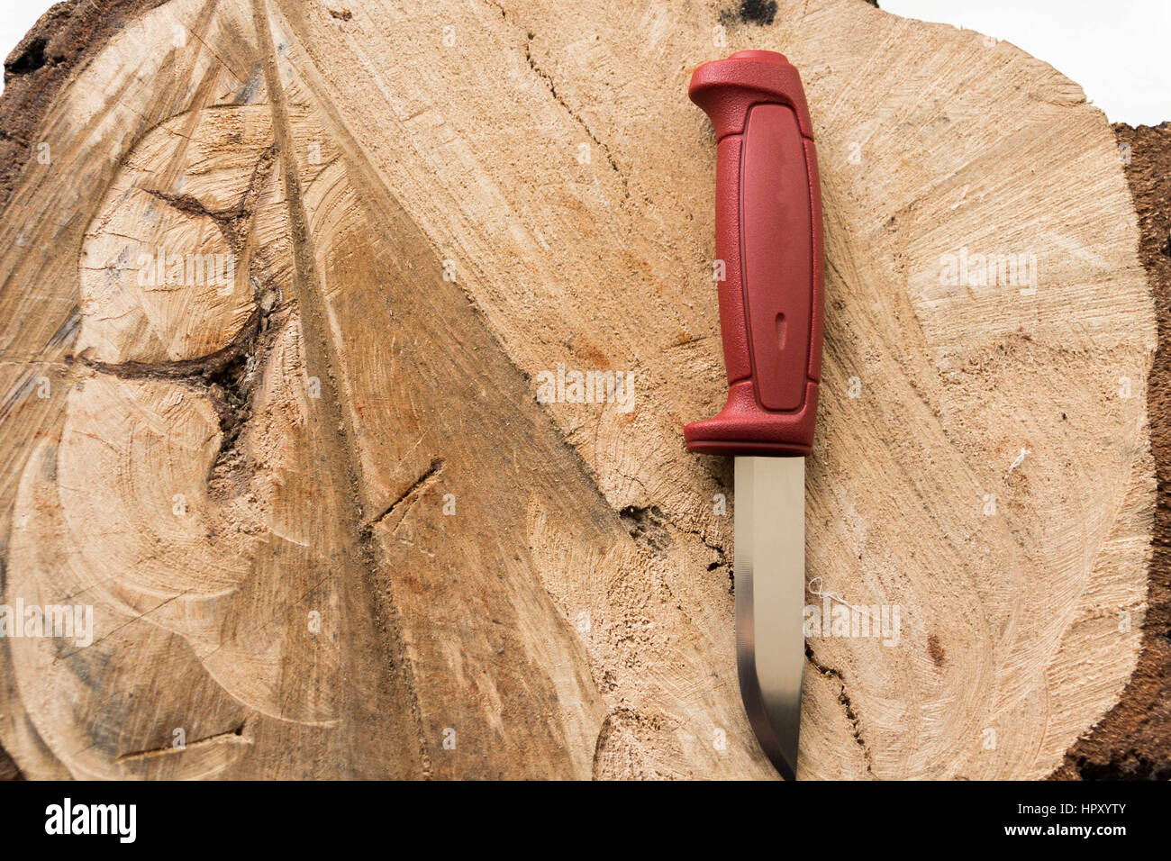 Fixed blade. Knife left. Knife with a red handle Stock Photo - Alamy