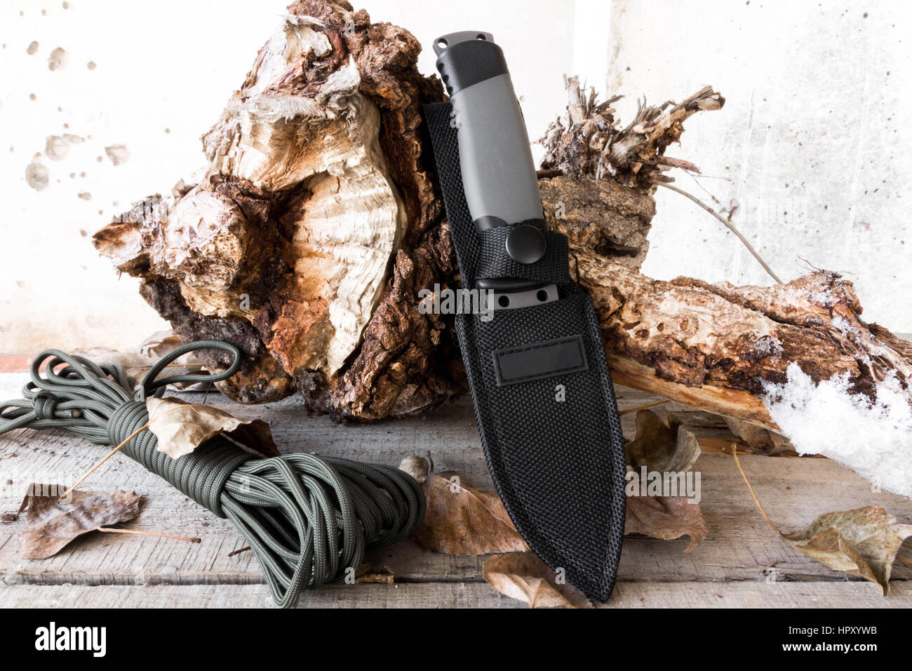 Knife with a fixed blade in a case on the stump and rope Stock Photo ...