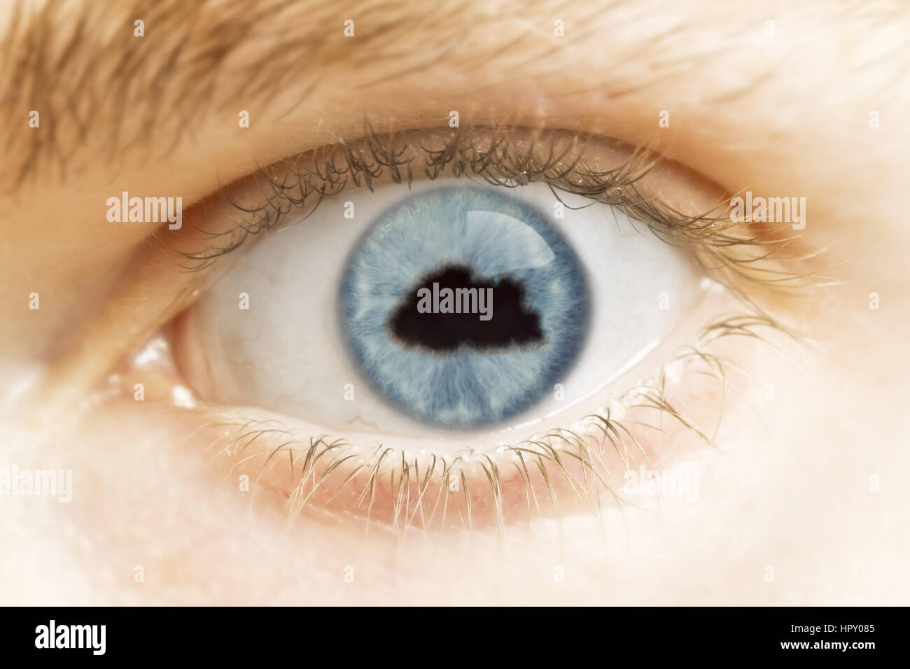 A close-up of an eye with the pupil in the shape of Bhutan.(series ...