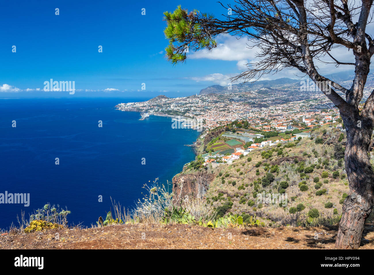 Funchal seen from Pinaculo viewpoint, Madeira, Portugal Stock Photo - Alamy