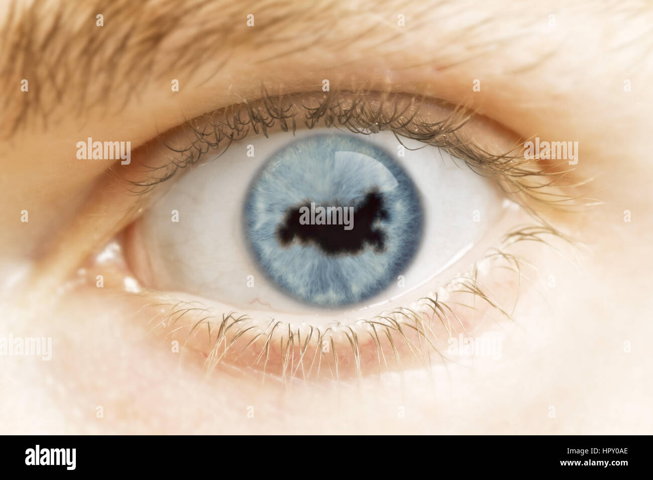 A close-up of an eye with the pupil in the shape of Russia.(series ...