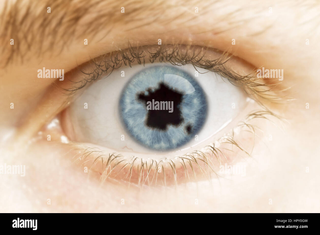 A close-up of an eye with the pupil in the shape of France.(series ...