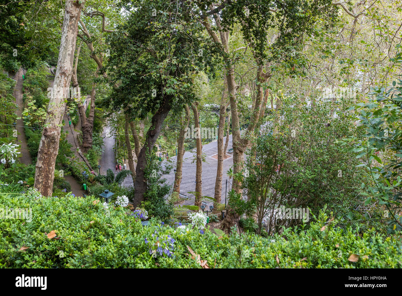 Monte gardens hi-res stock photography and images - Alamy