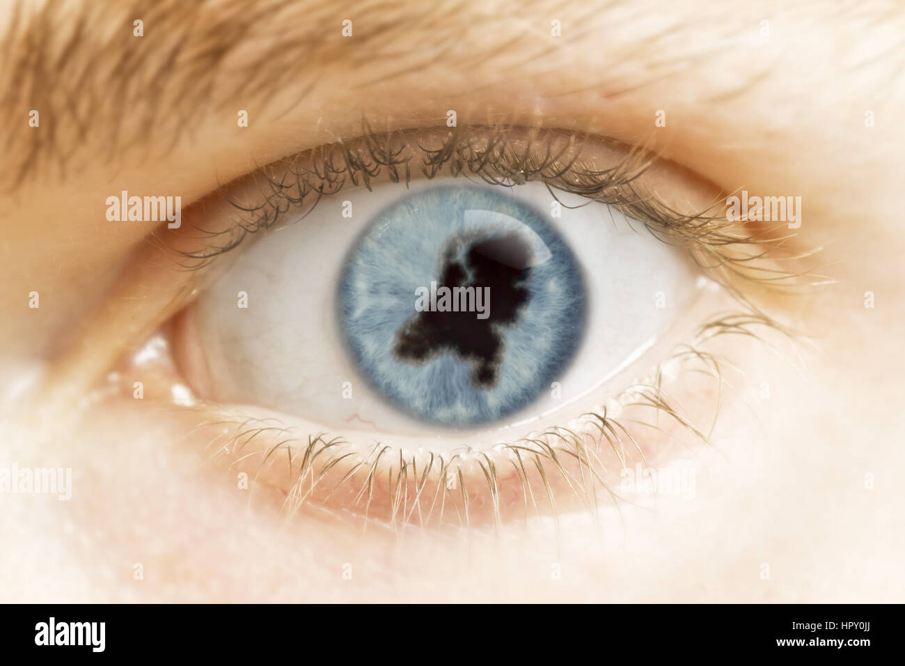 A close-up of an eye with the pupil in the shape of Netherlands.(series ...