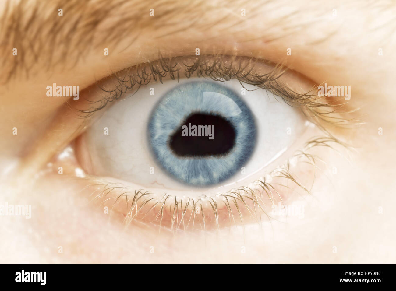A close-up of an eye with the pupil in the shape of Baker Island ...