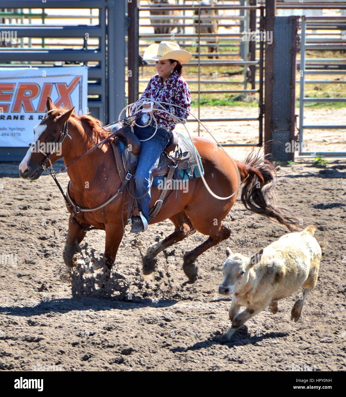 Cowboys, Cowgirls and Rodeo Stock Photo - Alamy