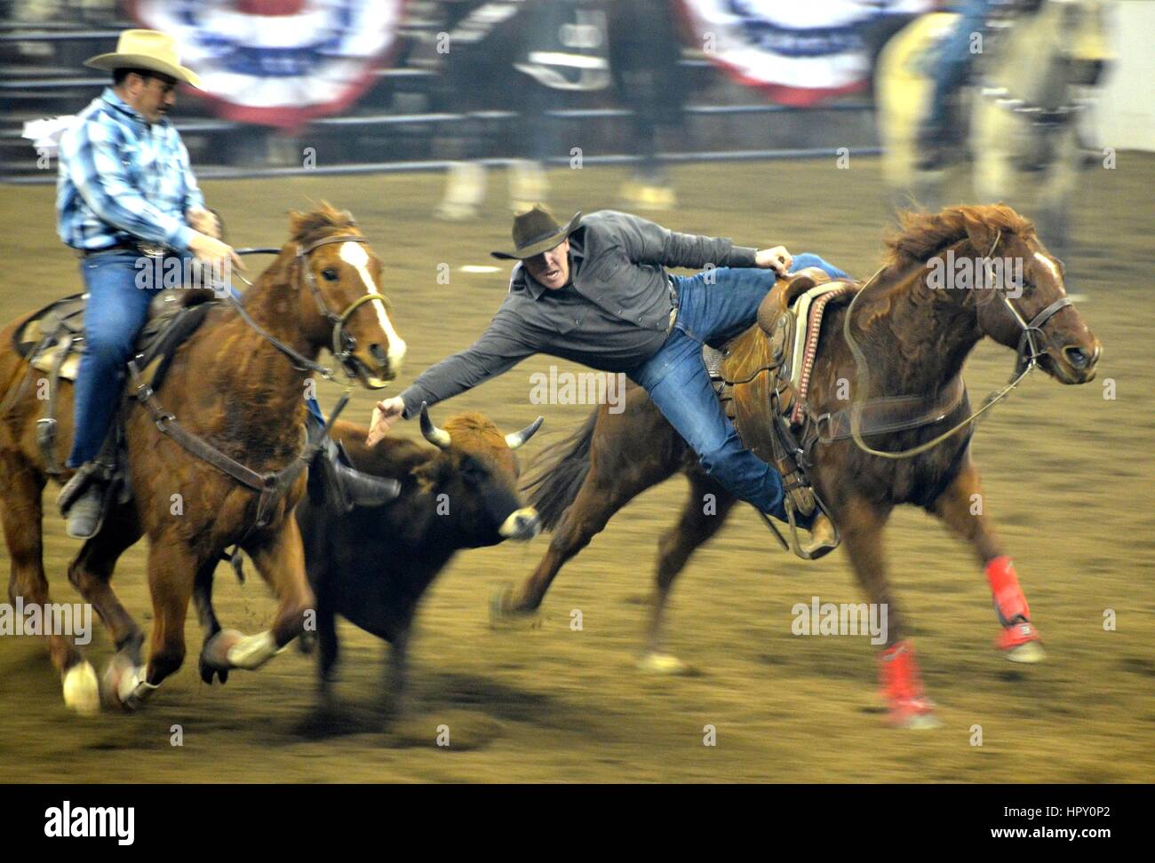 Rodeo cowboys bulldogging steer wrestling hi-res stock photography and ...