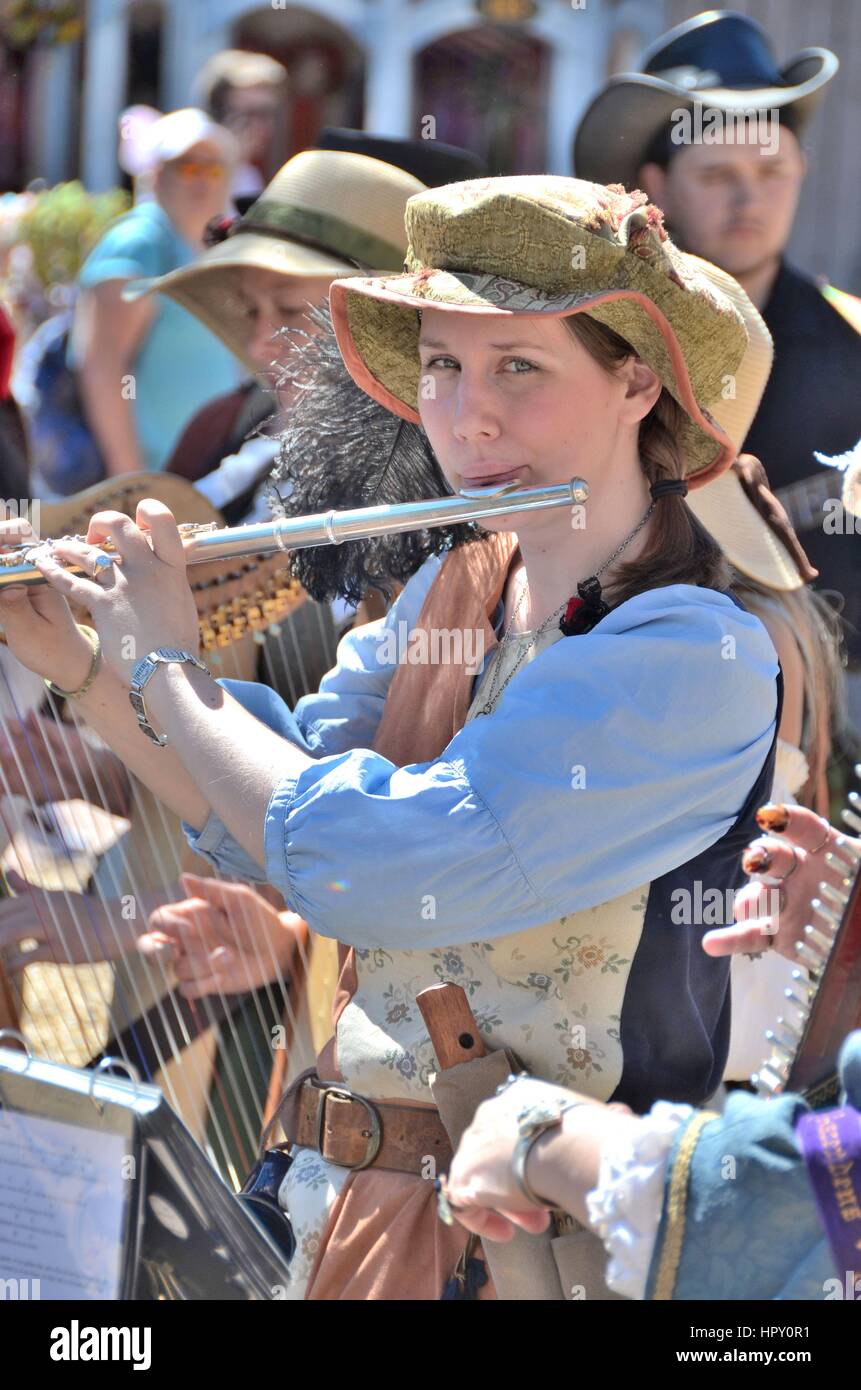 Medieval musicians music musical instruments hi-res stock photography ...