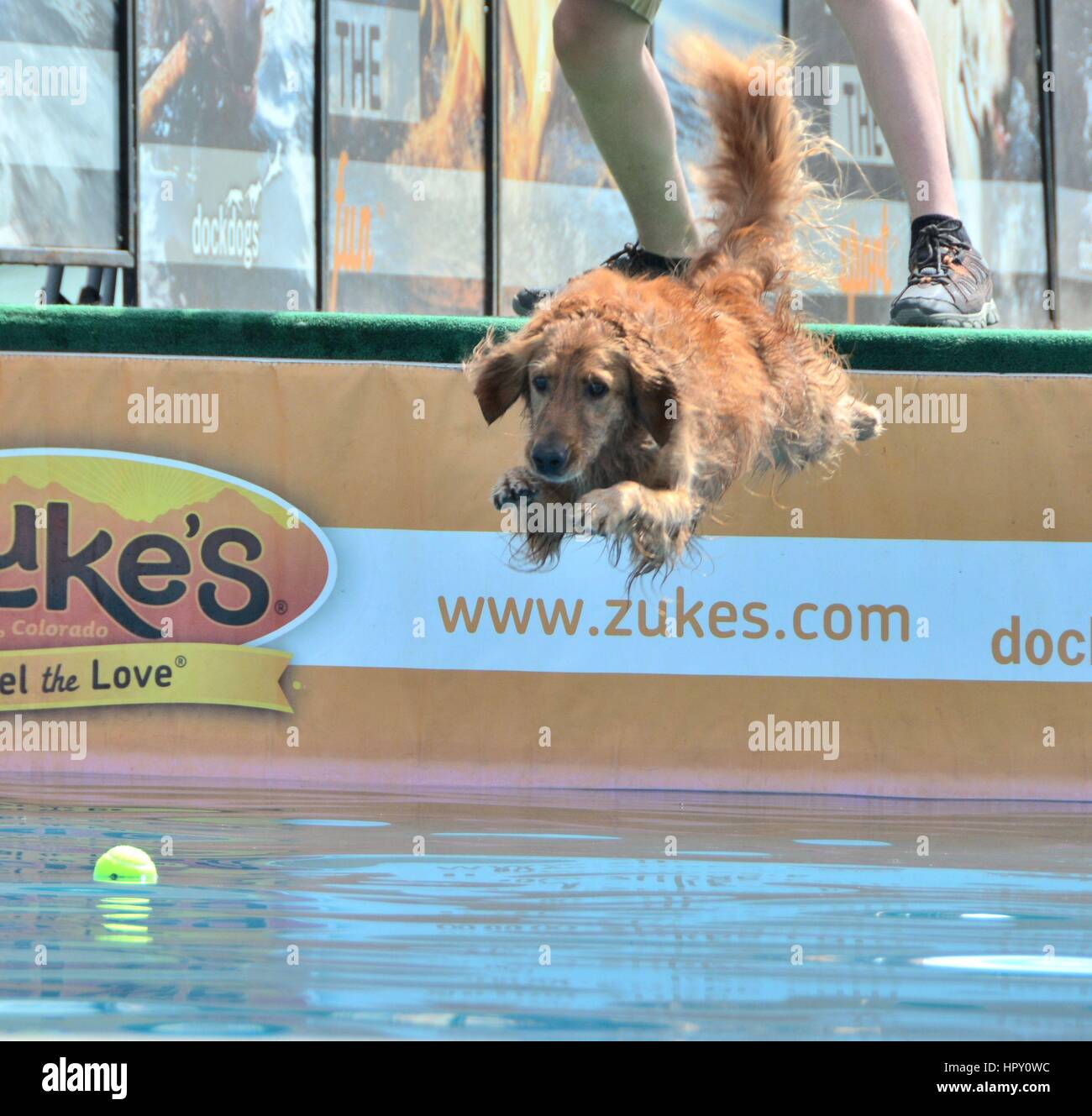 Aquatic dock hi-res stock photography and images - Alamy
