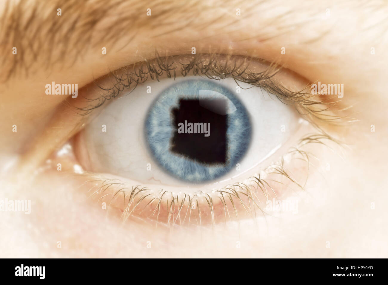 A close-up of an eye with the pupil in the shape of Arizona.(series ...