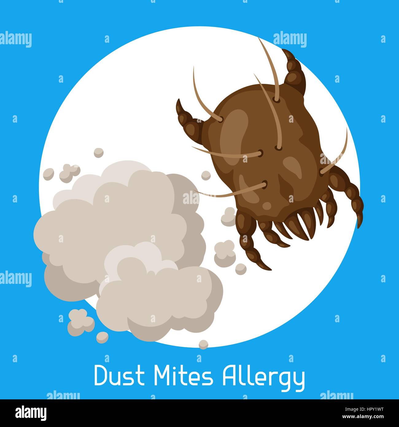 House Dust Mite Stock Photos & House Dust Mite Stock Images - Alamy