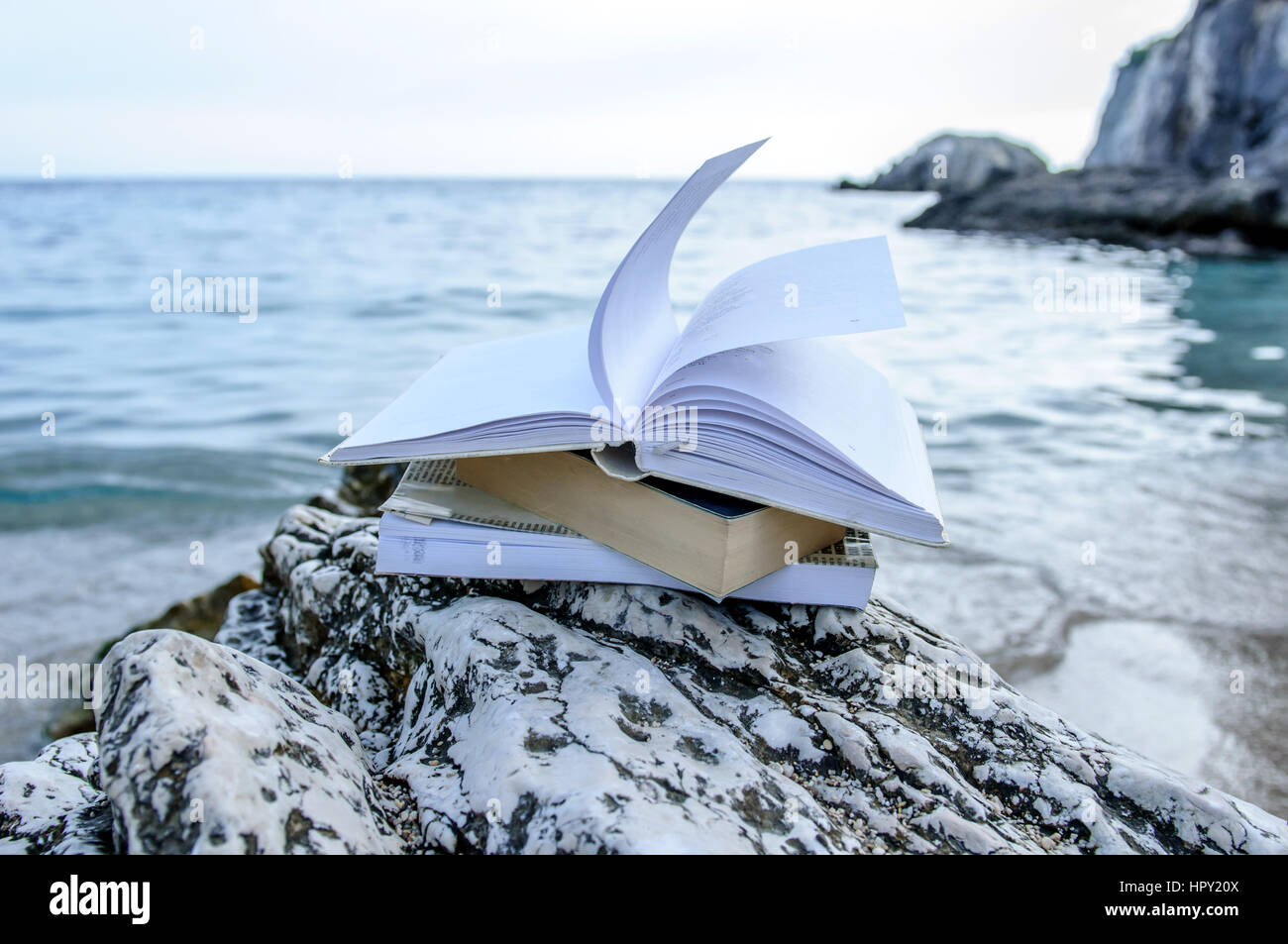 Girl sunbathing reading hi-res stock photography and images - Alamy