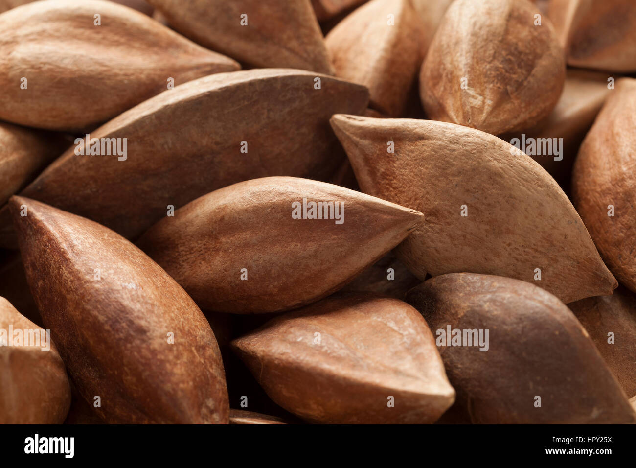 Pili nuts hi-res stock photography and images - Alamy