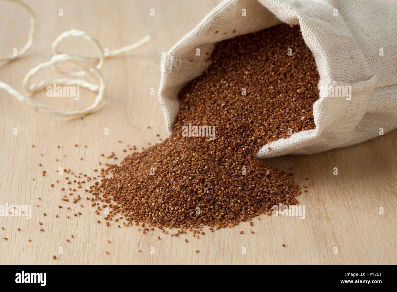 Teff Grass Seed