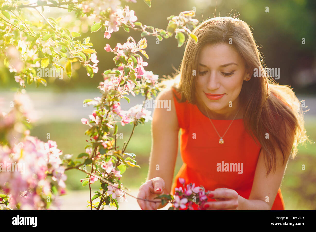 Wind touching flower hi-res stock photography and images - Alamy