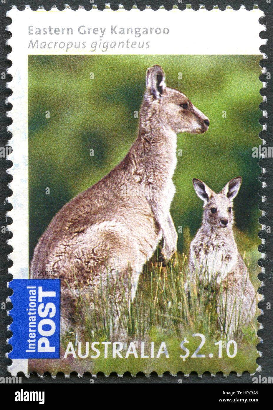 AUSTRALIA - CIRCA 2009: A used postage stamp from Australia, depicting ...