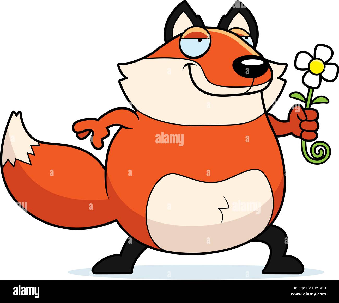 A happy cartoon fox with a flower Stock Vector Image & Art - Alamy