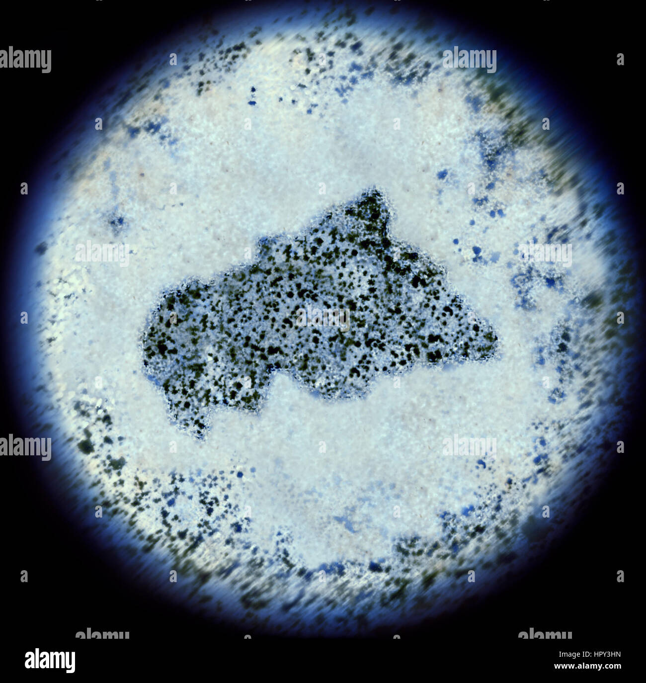 View through microscope hi-res stock photography and images - Alamy