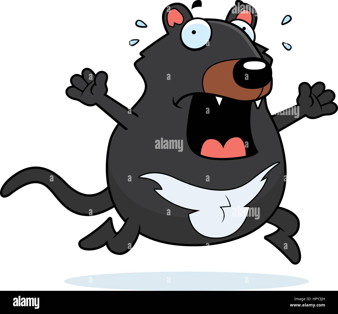 Running tasmanian devil Stock Vector Images - Alamy