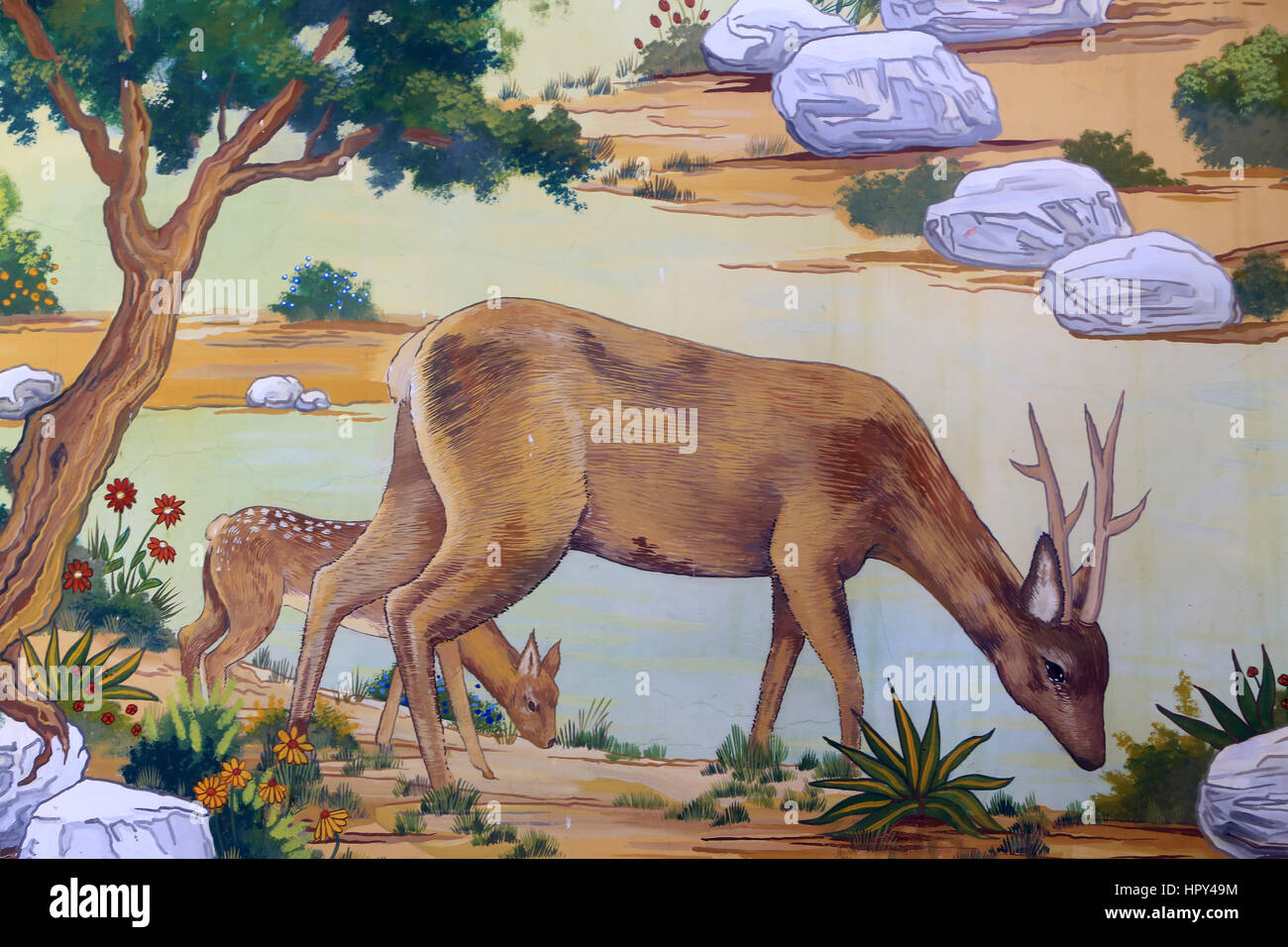 Deers. Dashang Kagyu Ling congregation. Temple of the Thousand Buddhas ...