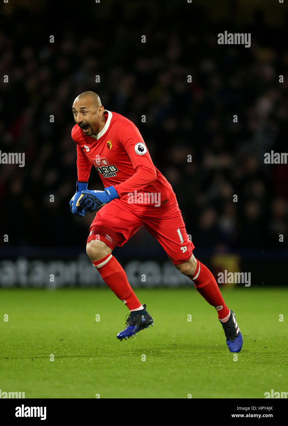 Watford goalkeeper Heurelho Gomes celebrates Troy Deeney's first goal ...