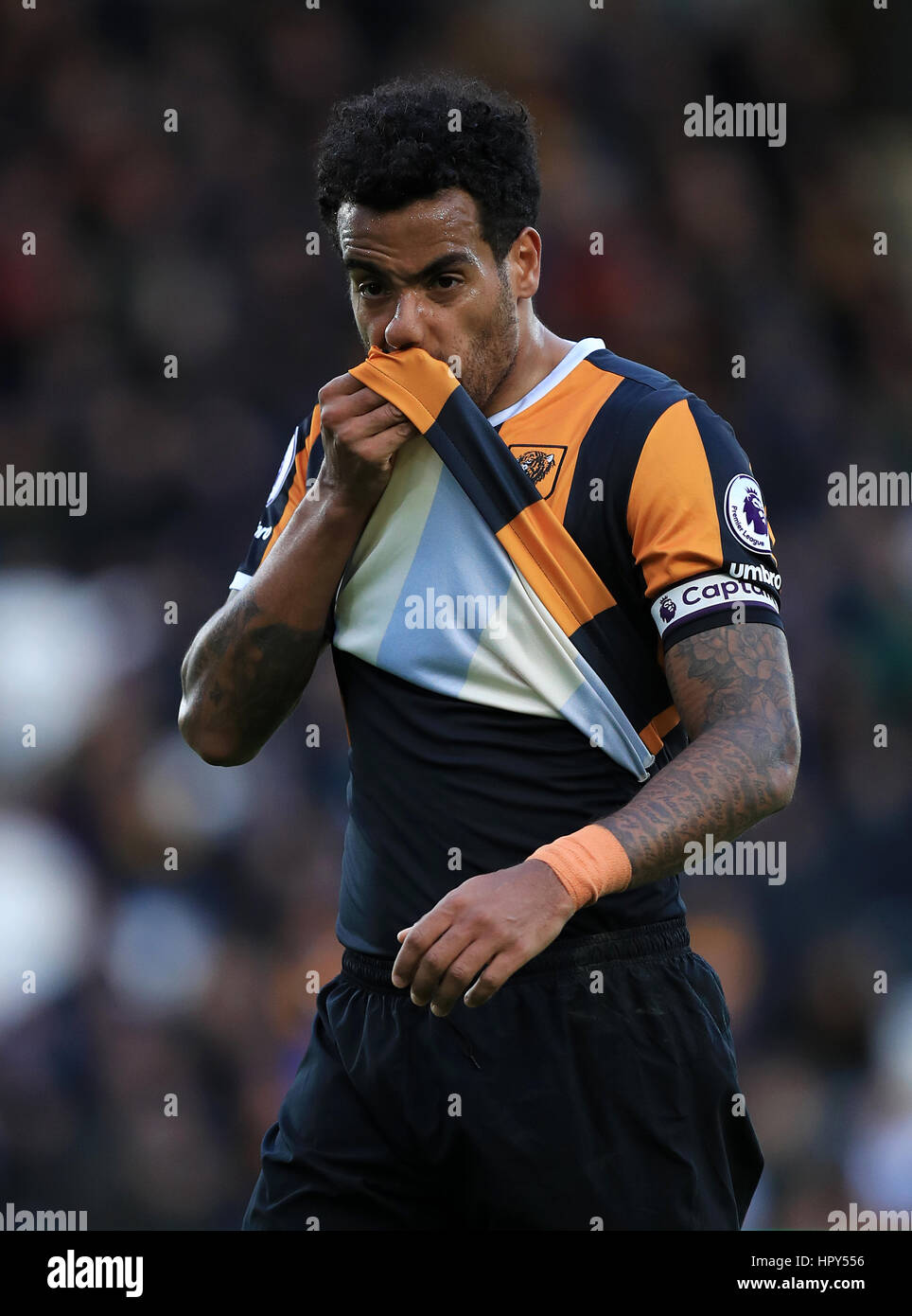 Hull City's Tom Huddlestone Stock Photo - Alamy