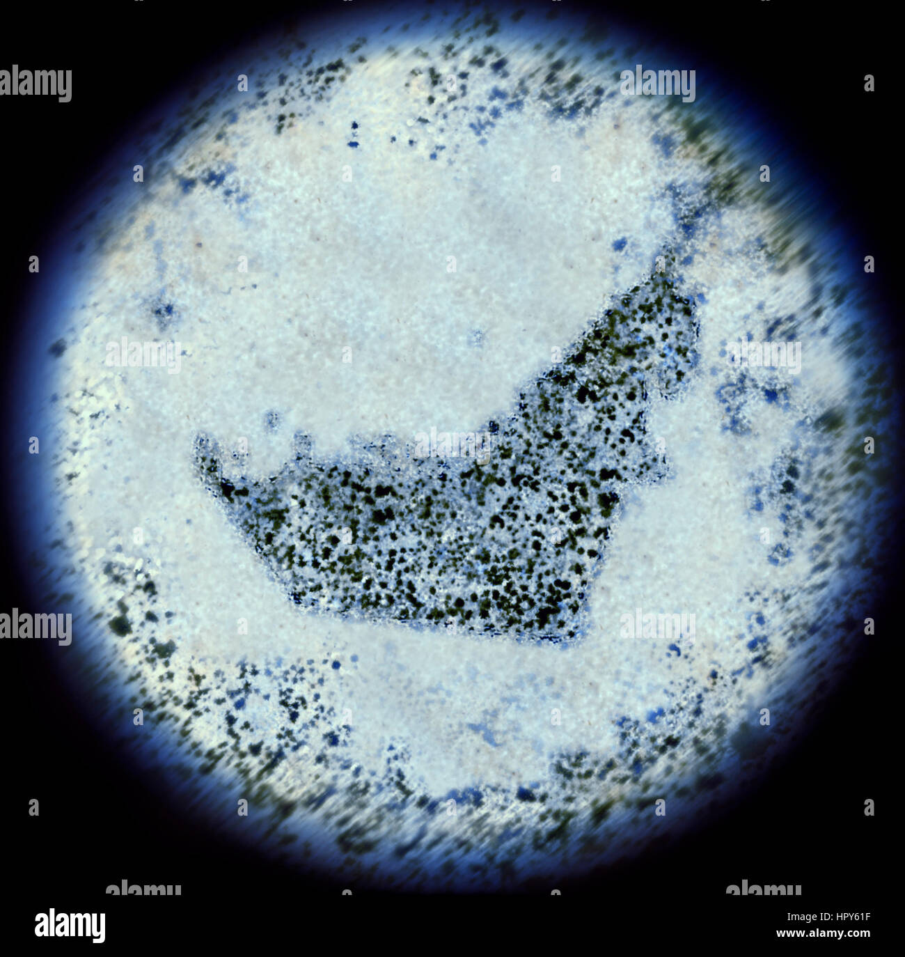 A simulated view through a microscope on bacterias in the shape of ...