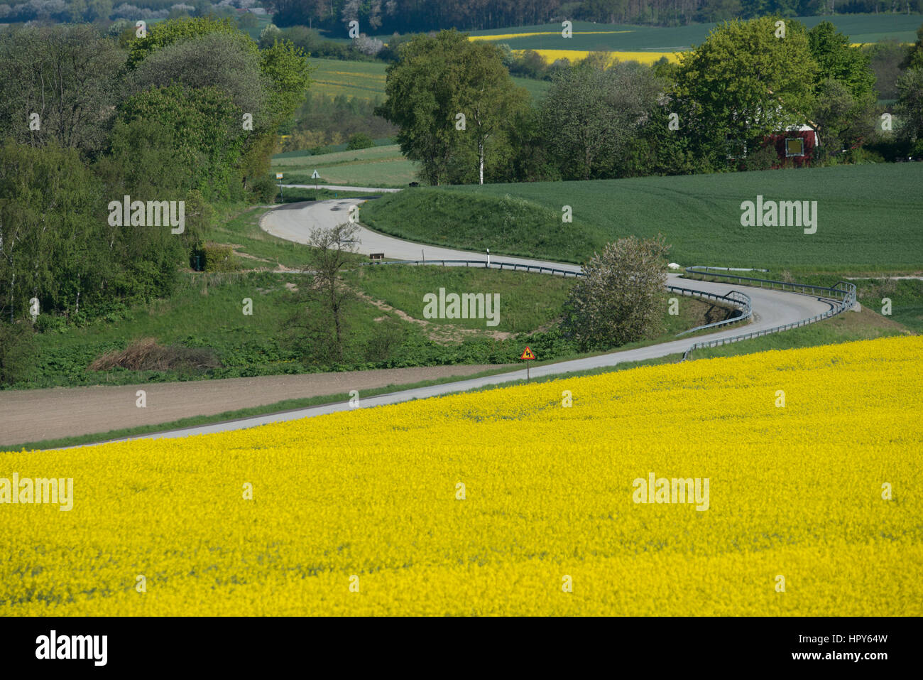 Local road in a hilly, farming land Stock Photo - Alamy
