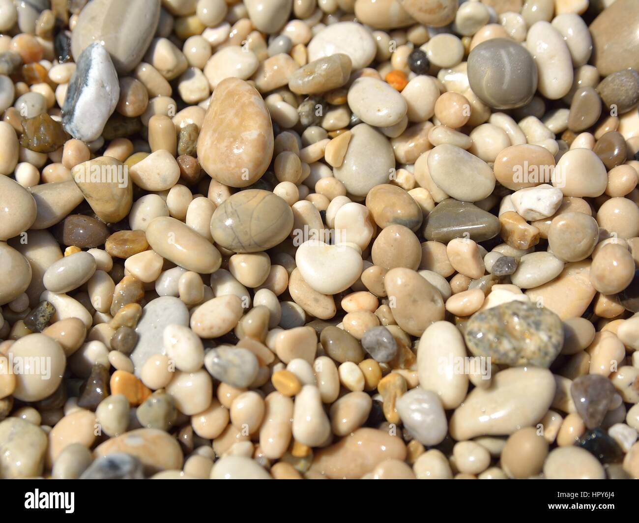 rounded and polished beach rocks Stock Photo - Alamy