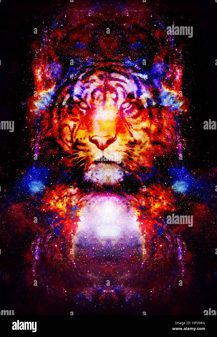 magical space tiger, multicolor computer graphic collage Stock Photo ...