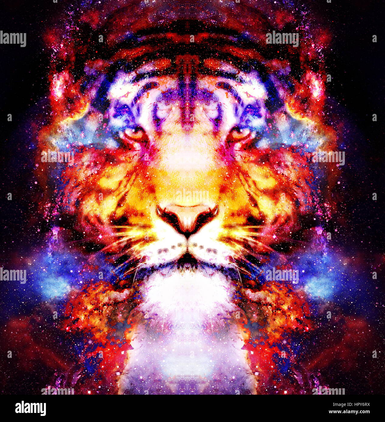 magical space tiger, multicolor computer graphic collage Stock Photo ...