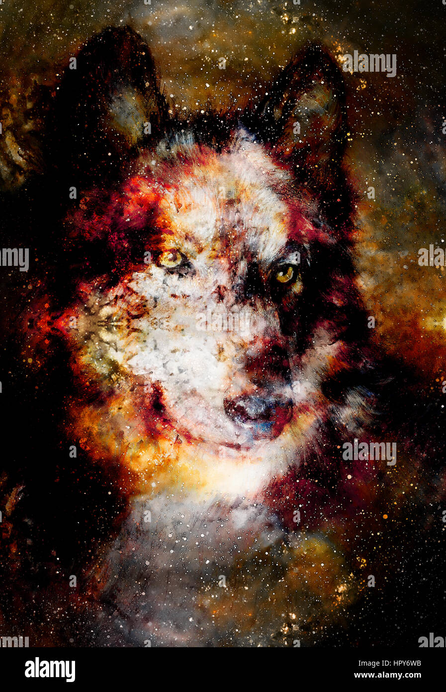 magical space wolf, multicolor computer graphic collage Stock Photo - Alamy