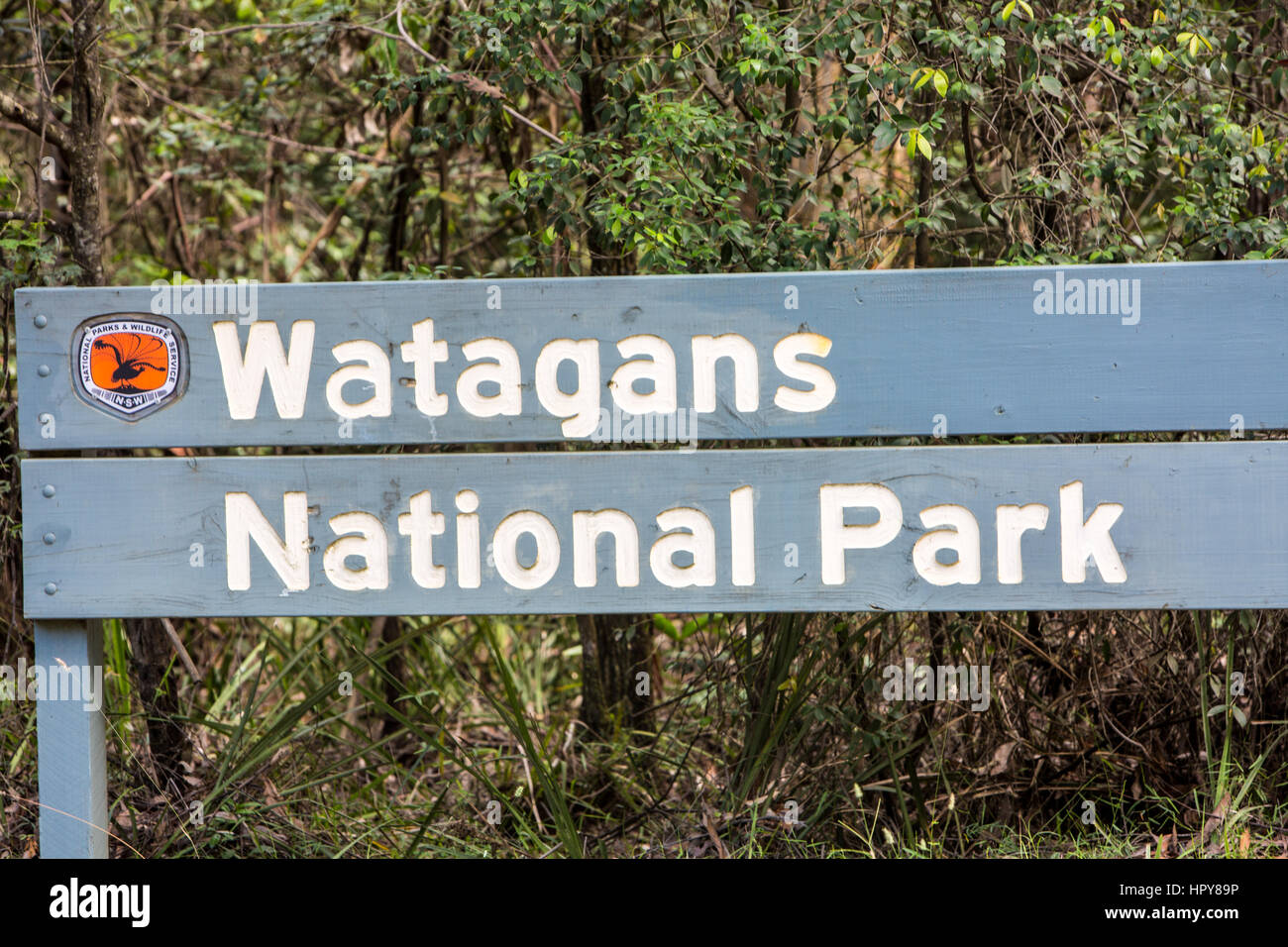 Watagans national park hi-res stock photography and images - Alamy