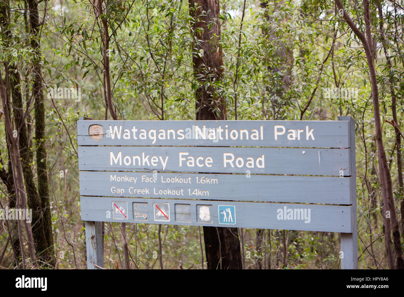 Watagans National Park in the central coast region of New south wales ...