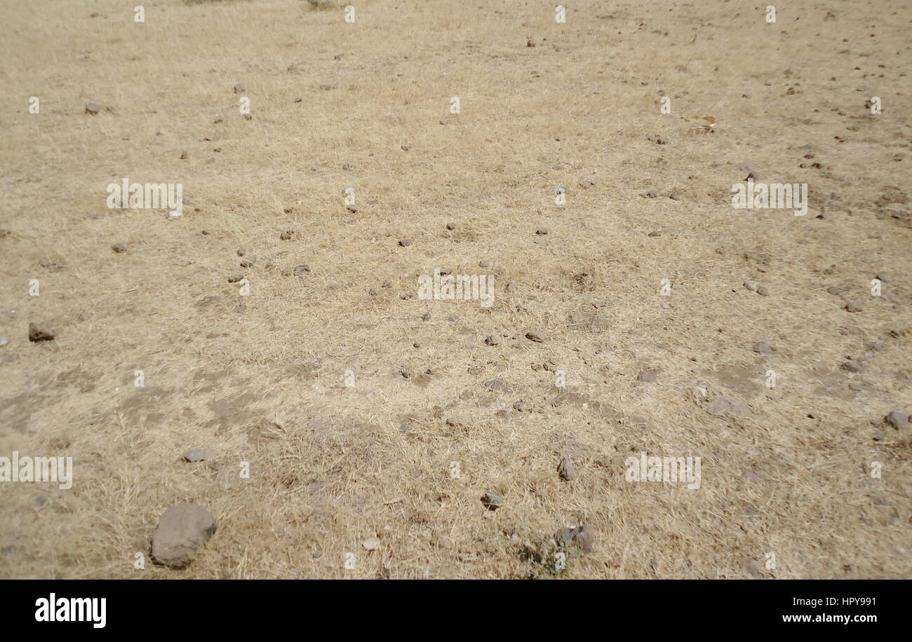 Barren lands hi-res stock photography and images - Alamy