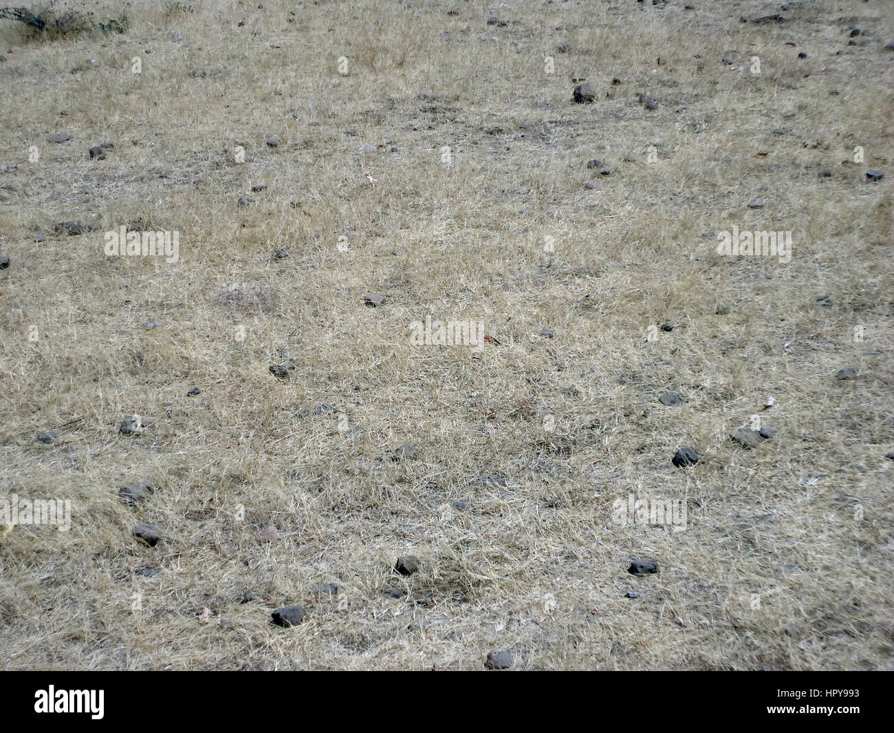Barren lands hi-res stock photography and images - Alamy
