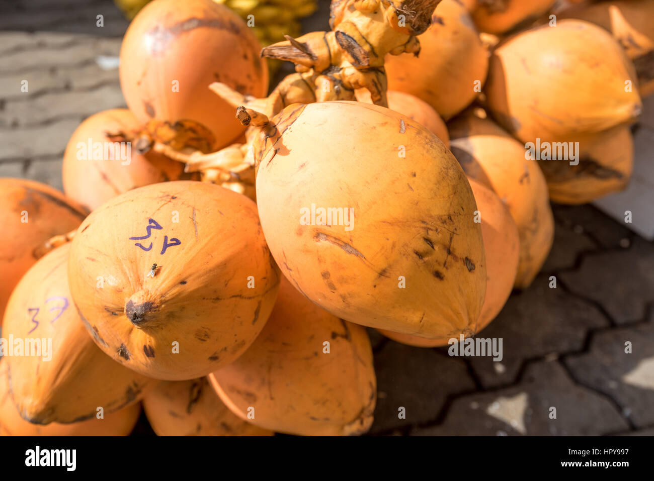 Orange coconuts hi-res stock photography and images - Alamy