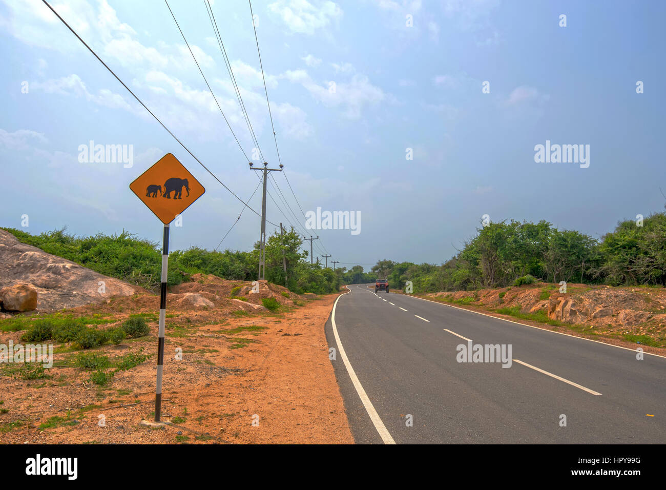 Elephant warning yellow sign and road on background Stock Photo - Alamy