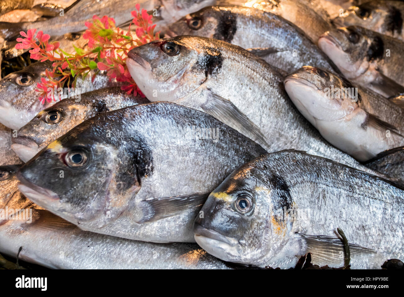 Fresh Fish. Sea Bream on a market stall in a supermarket Stock Photo ...
