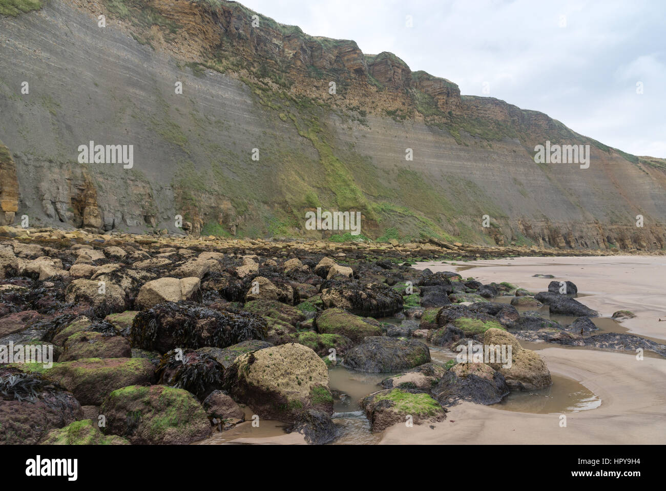 Lebberston cliff at Cayton bay near Scarborough, North Yorkshire ...